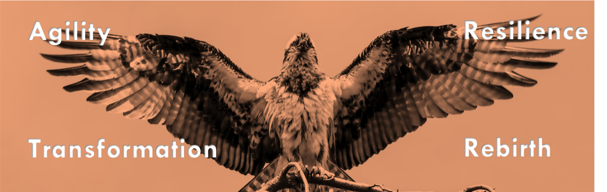 McKinsey’s Wake-Up Call: 10 Shifts That Could Make or Break Your ...